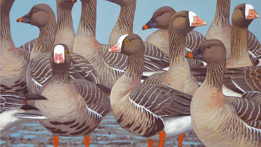 Carte blanche à Szabolcs Kókay - La Salamandre