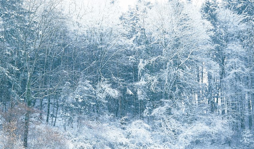 La première neige est là? « Mieux vaut succomber à la magie » - La ...