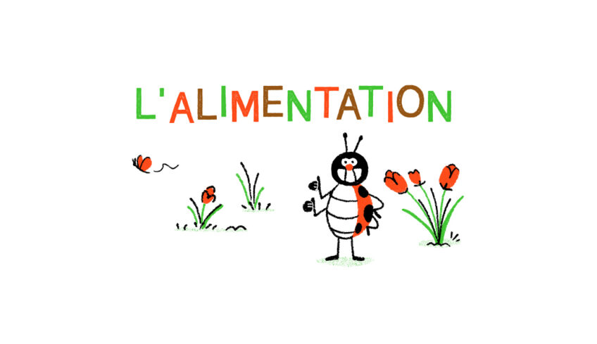 L'alimentation expliquée aux enfants, en vidéo - Salamandre Junior - La ...
