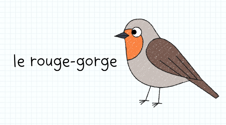 Comment Dessiner Un Rouge Gorge Chibi