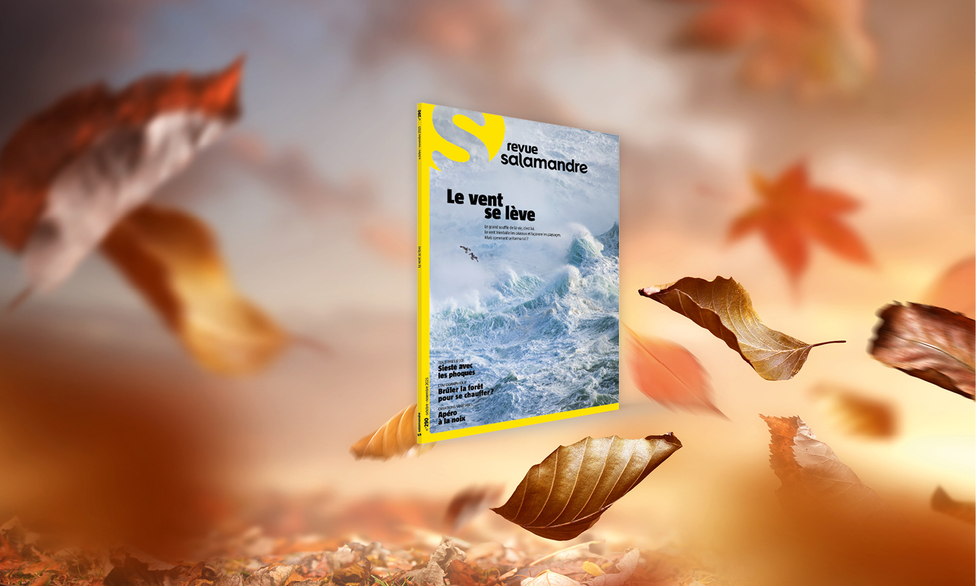 La Salamandre, 3 magazines nature pour tous les âges - La Salamandre