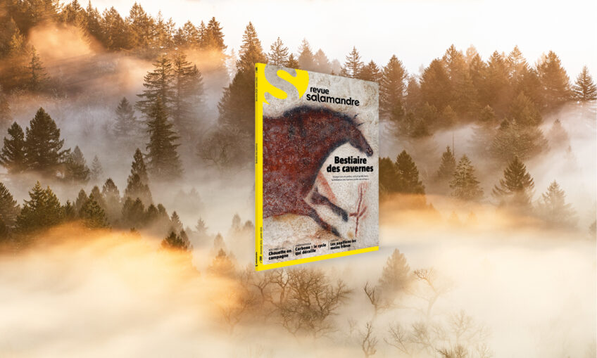 La Salamandre, 3 magazines nature pour tous les âges - La Salamandre