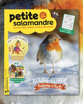 La Minute Nature : Confidences avec Vincent Munier sur son film "Le ...