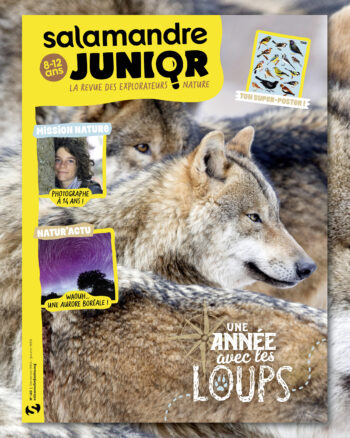 La Minute Nature : Confidences avec Vincent Munier sur son film "Le ...